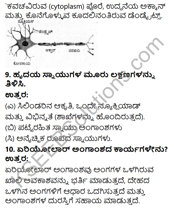 KSEEB Solutions For Class 9 Science Chapter 6 Amgansagalu KTBS Solutions